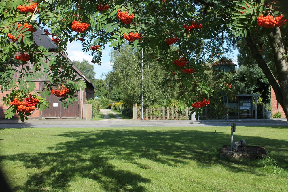Hannover Kronsberg Foto & Bild | landschaft, natur Bilder auf fotocommunity