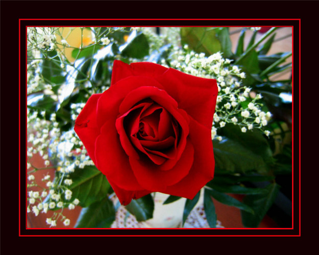 Happy Birthday Foto & Bild | emotionen, spezial Bilder auf fotocommunity