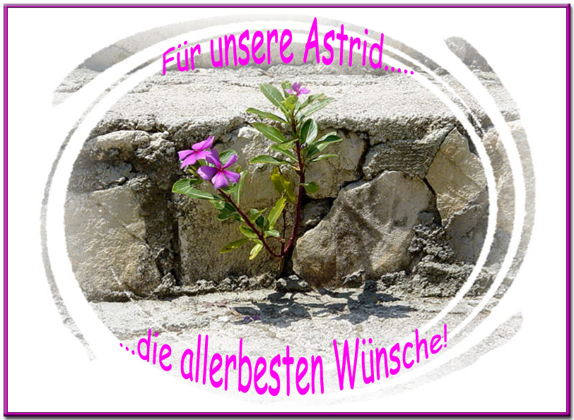 Happy Birthday....... Foto & Bild | gratulation und feiertage ...