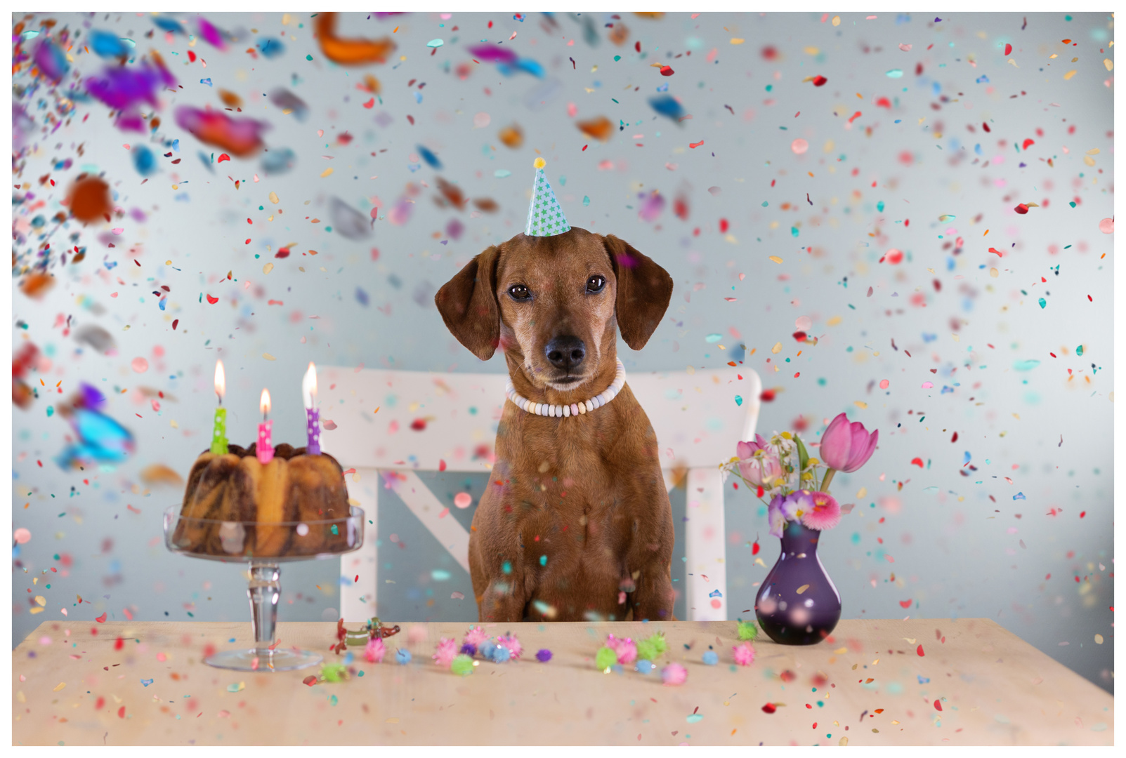 Happy Birthday Foto & Bild | geburtstag, glückwünsche, gratulation ...