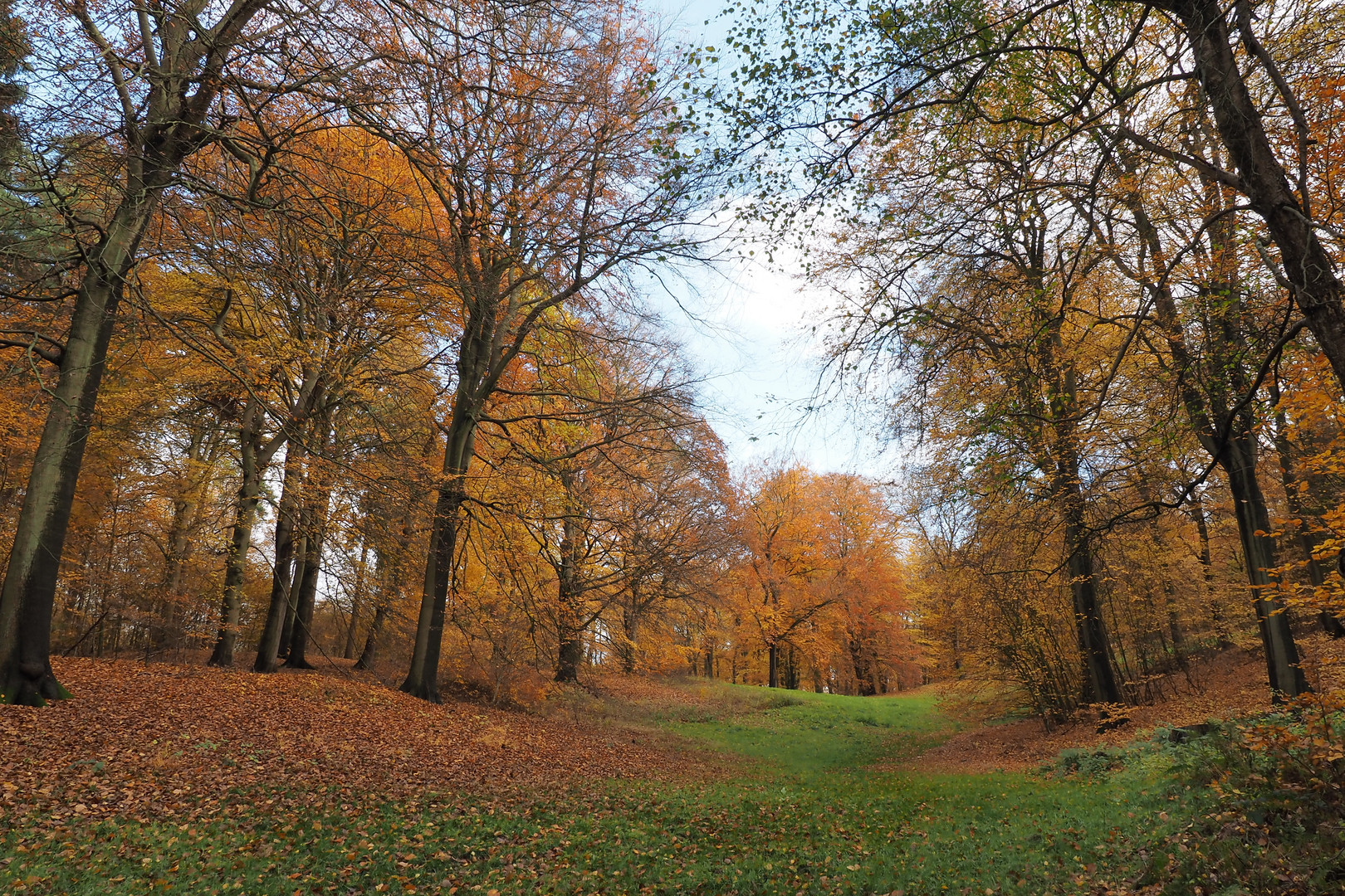 Harburger Berge Foto & Bild | wald, natur, jahreszeiten Bilder auf ...