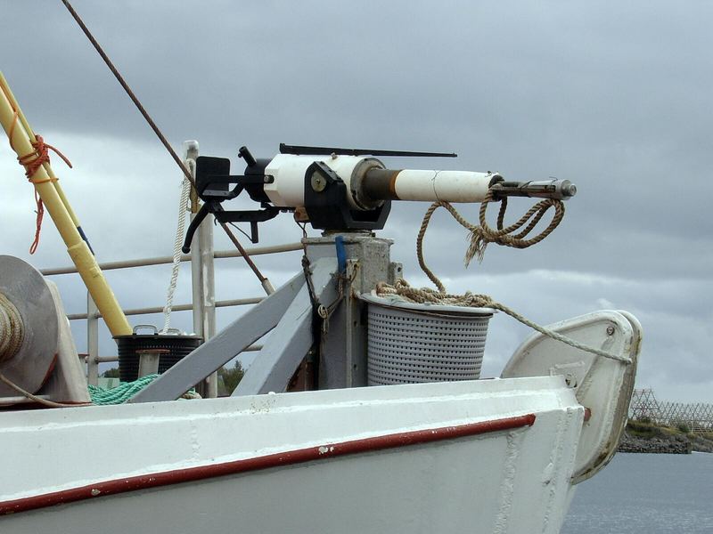 Harpune Foto & Bild | europe, scandinavia, norway Bilder auf fotocommunity