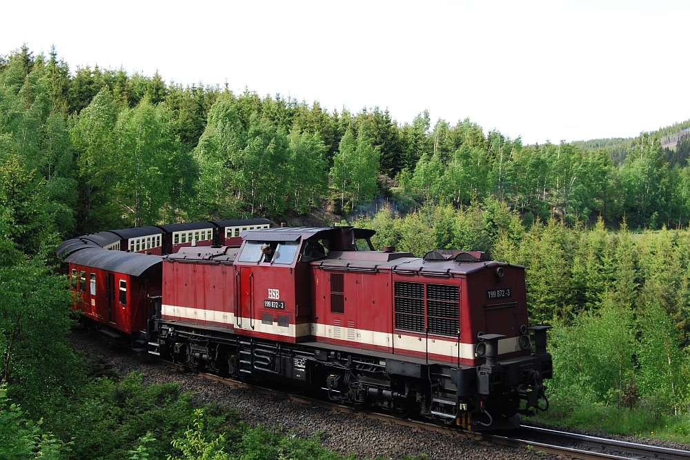 Harzkamel im Drängetal Foto & Bild | schmalspur, eisenbahn, verkehr & fahrzeuge Bilder auf ...