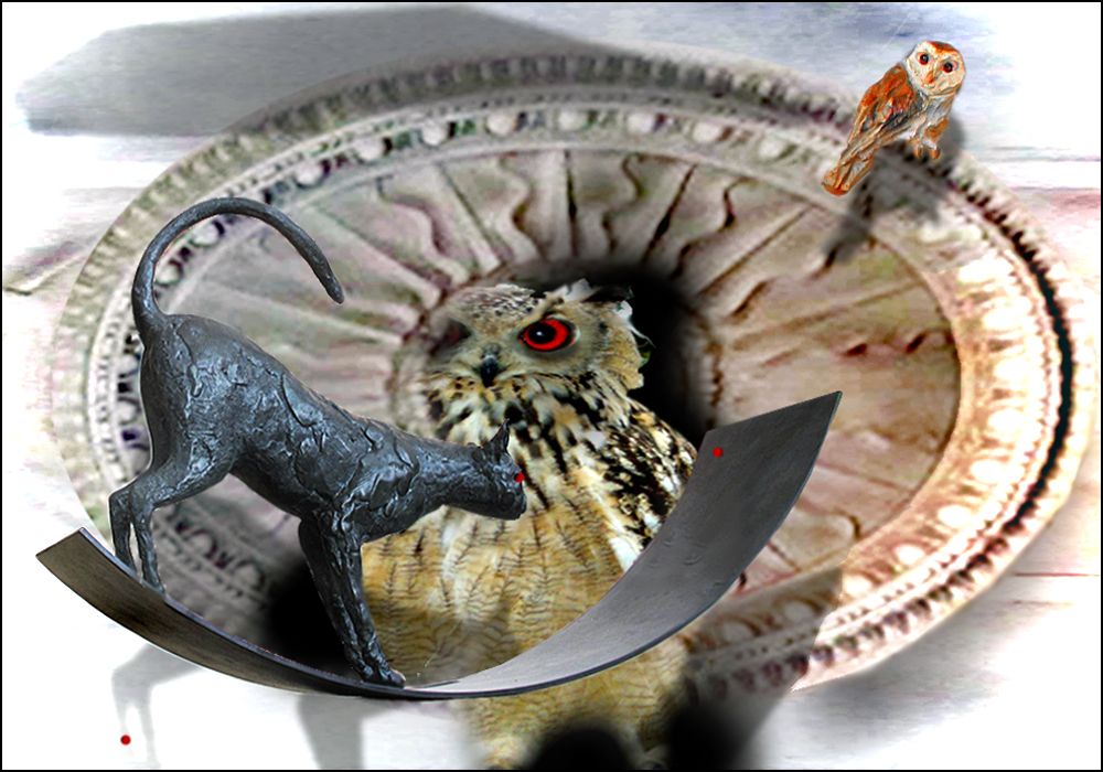 Hasch oder so. Foto & Bild | surreal, composing, katze Bilder auf ...