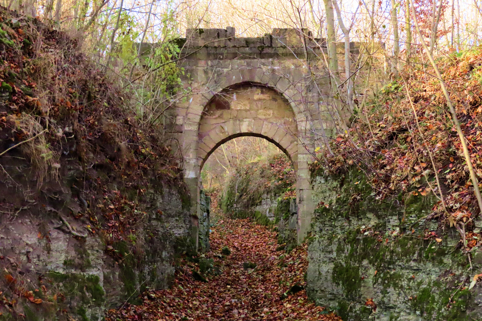 Hasenburg (Asenburg) Haynrode / Eichsfeld Foto & Bild | deutschland ...
