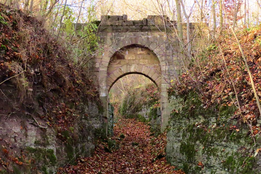 Hasenburg (Asenburg) Haynrode / Eichsfeld Foto & Bild | deutschland ...