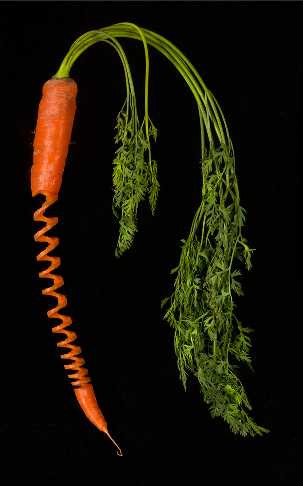 Hasenfutter Foto & Bild | stillleben, food-fotografie, projekte Bilder ...