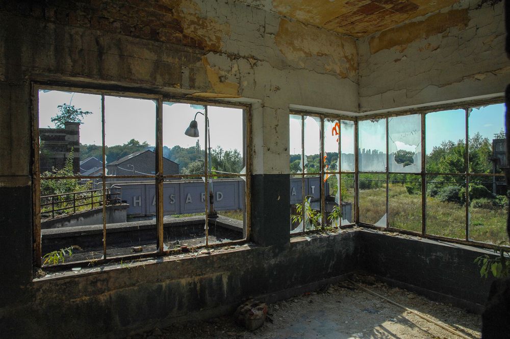 Hassard Foto & Bild | projekte, donnerstag mit durchblick, thementage ...