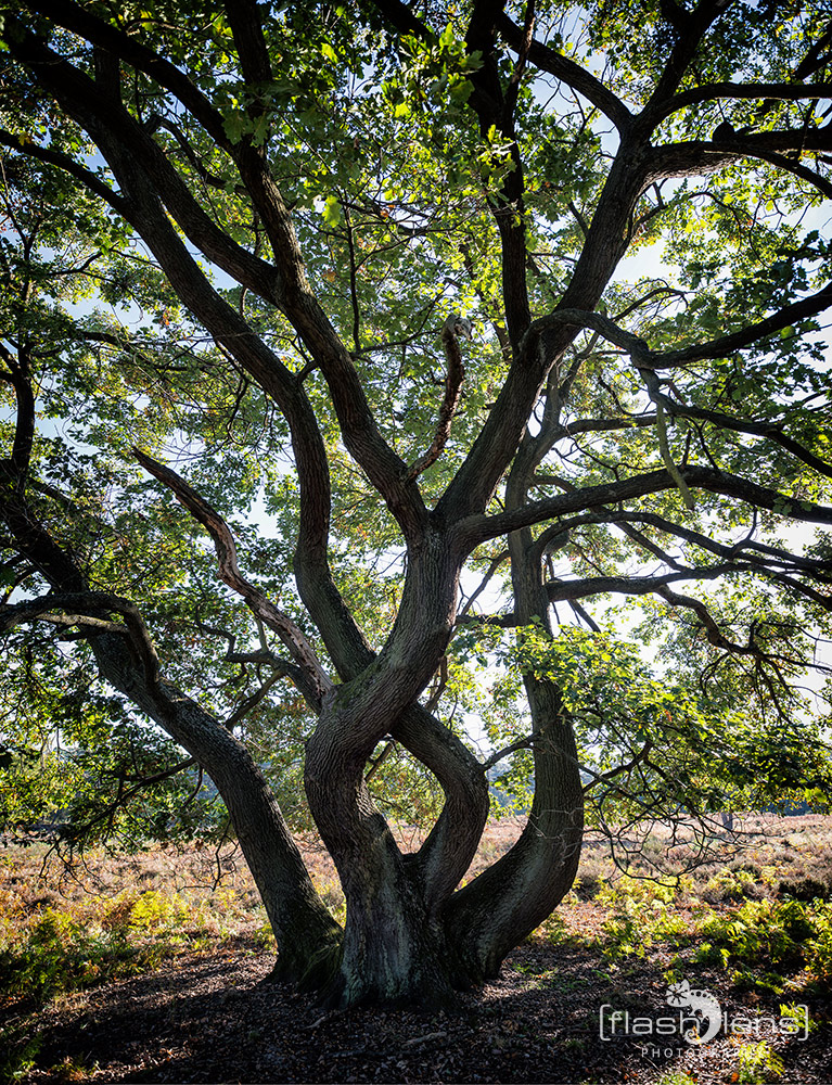 Hauptsache, die grobe Richtung stimmt Foto & Bild | deutschland, europe ...