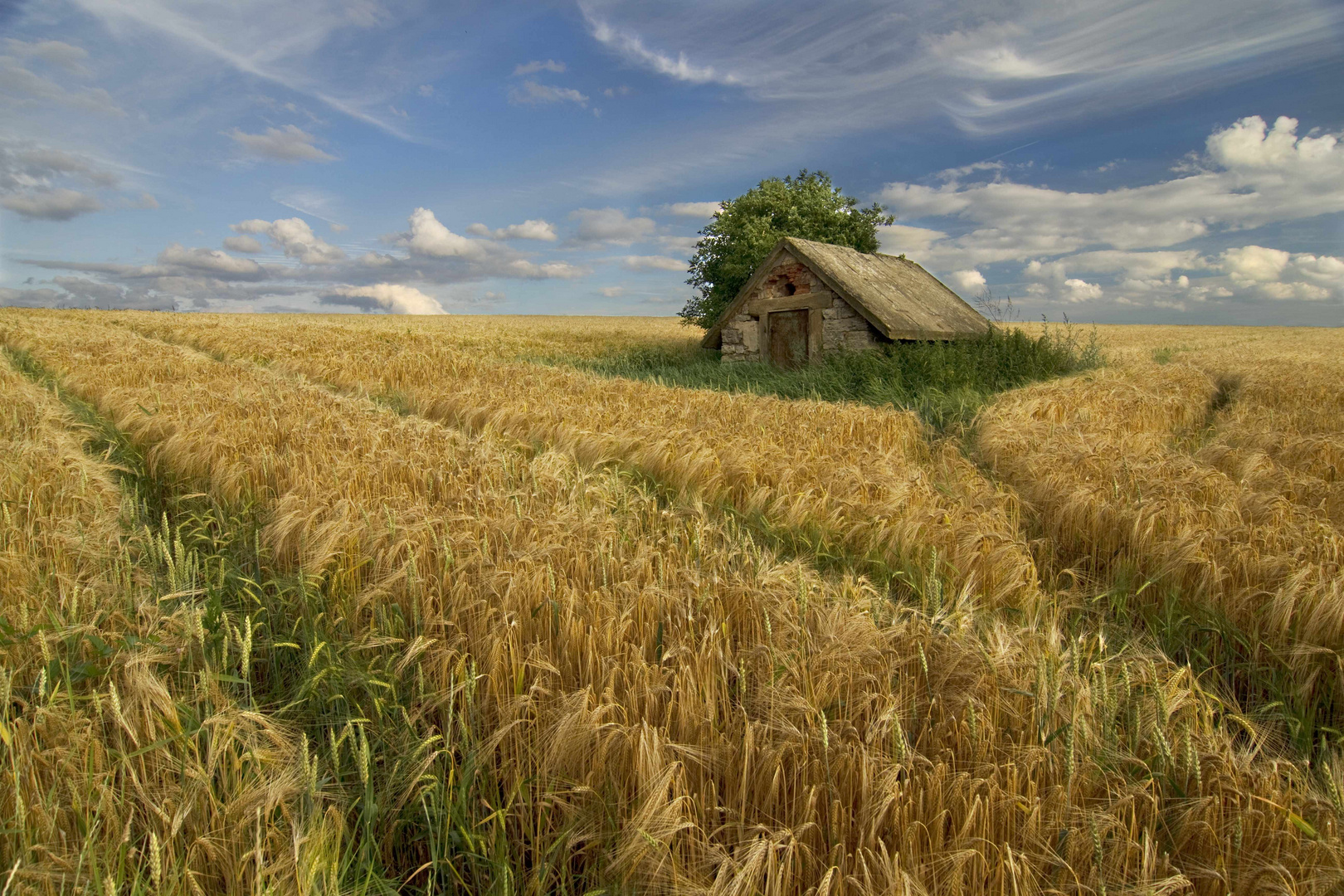 Haus im Kornfeld Foto & Bild | landschaft, Äcker, felder & wiesen, himmel Bilder auf fotocommunity