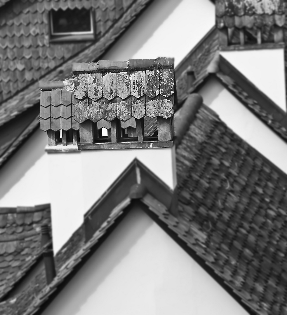 Hausdach-Dachhaus Foto & Bild | architektur, stadtlandschaft, motive ...