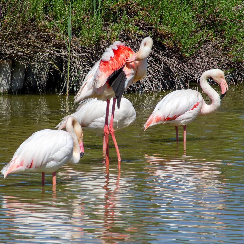+ haut, + grand? photo et image | europe, france, provence-alpes-côte d ...