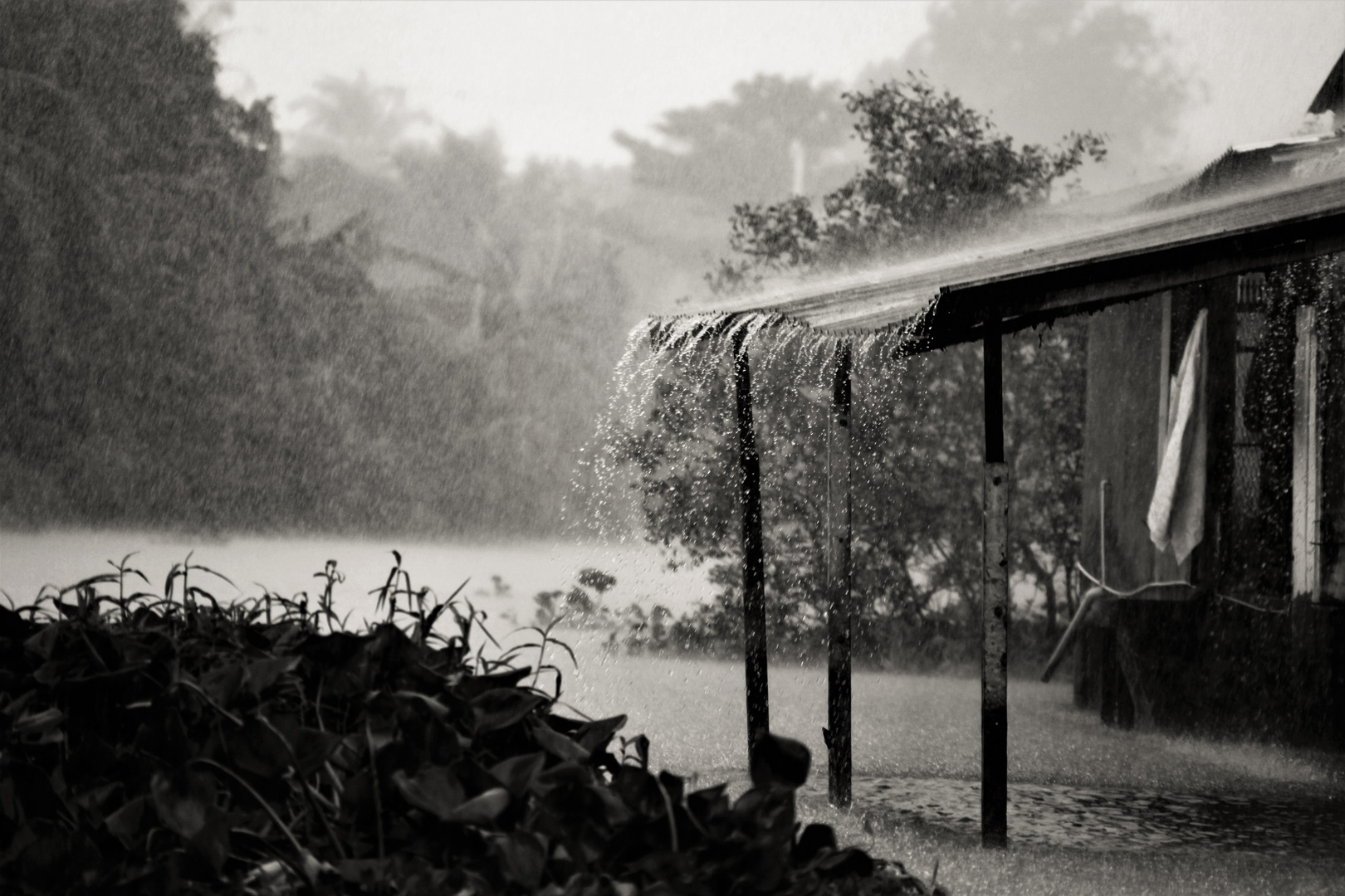 Heavy rain 12 photo & image | asia, vietnam, southeast asia images at ...