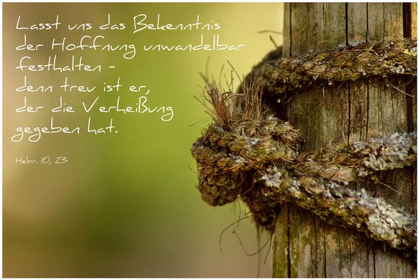 Bible Verse - Fotos & Bilder - Fotografin | fotocommunity