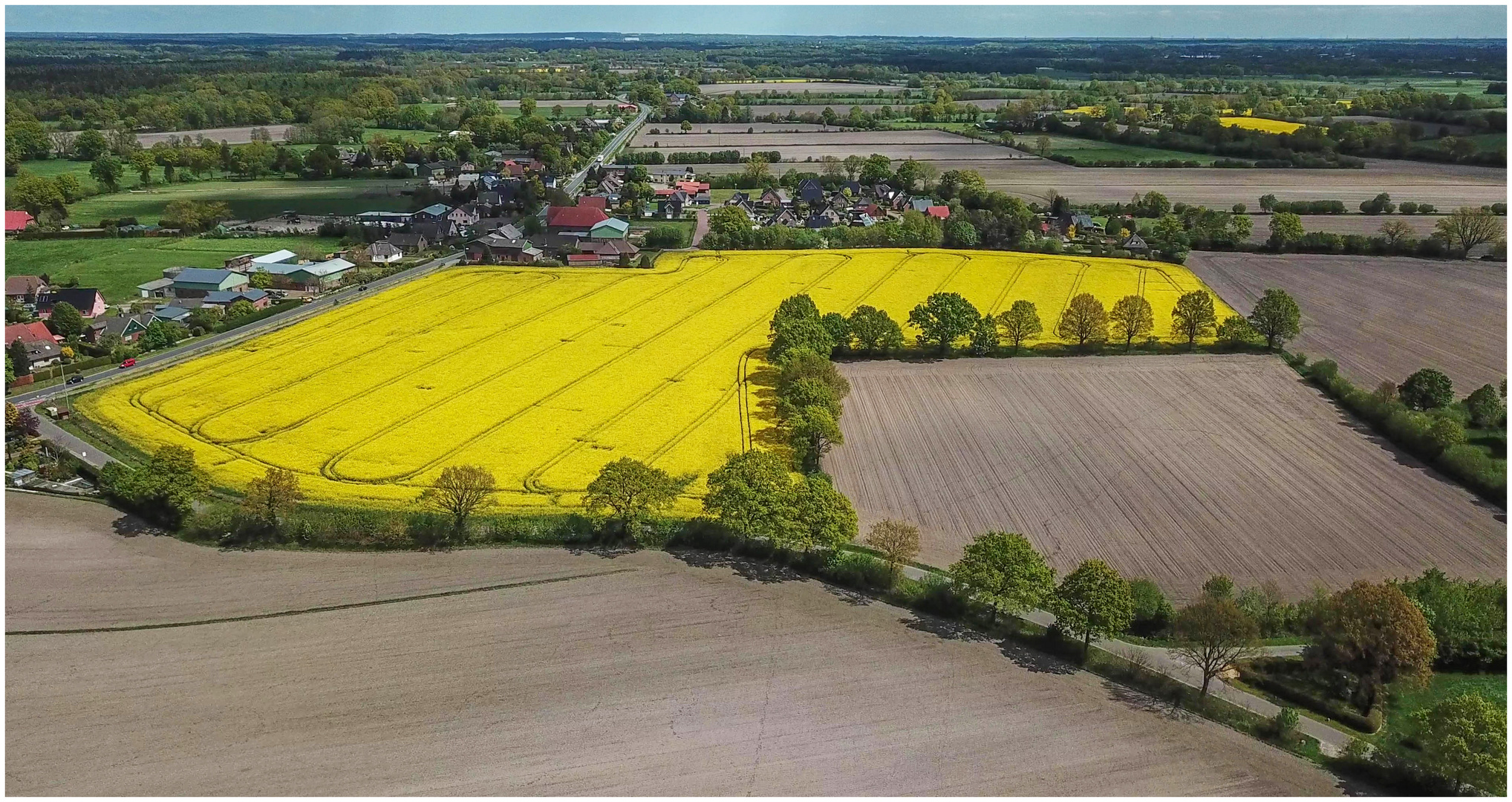 Heede von oben Foto & Bild | von oben, gelb, natur Bilder auf fotocommunity