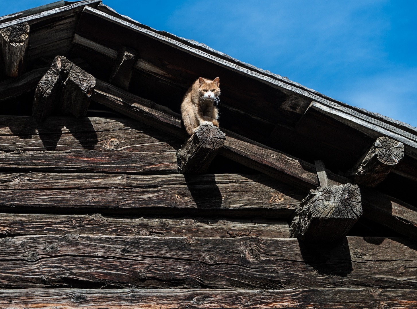 Hei du da unten, was machst du da ? DSC_3243 Foto & Bild | italy, natur ...