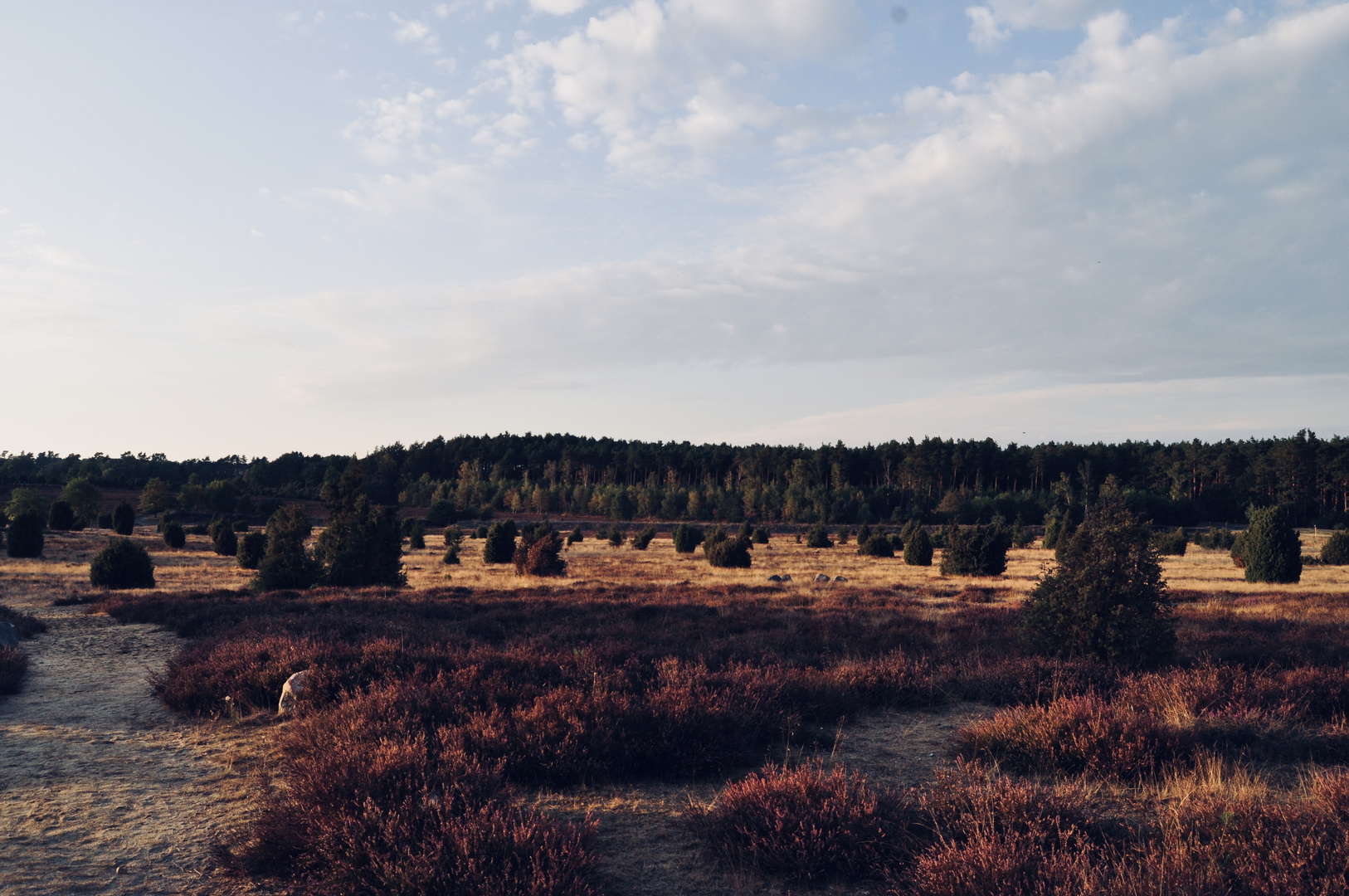 Heide Foto & Bild | natur Bilder auf fotocommunity