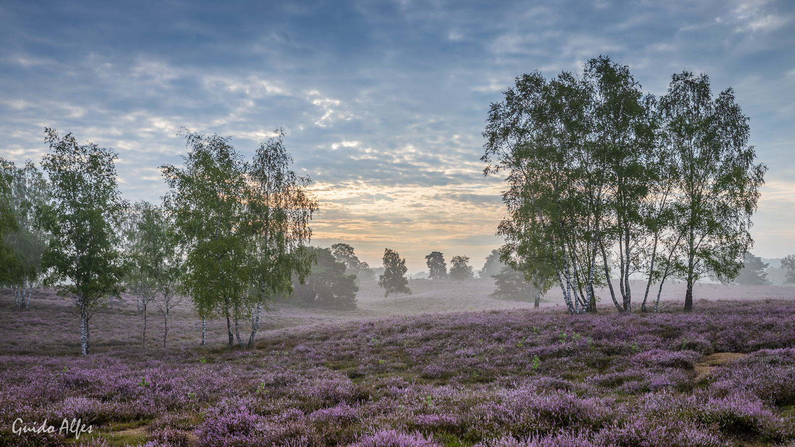 Heide Foto & Bild | sonnenaufgang, natur, hdr Bilder auf fotocommunity