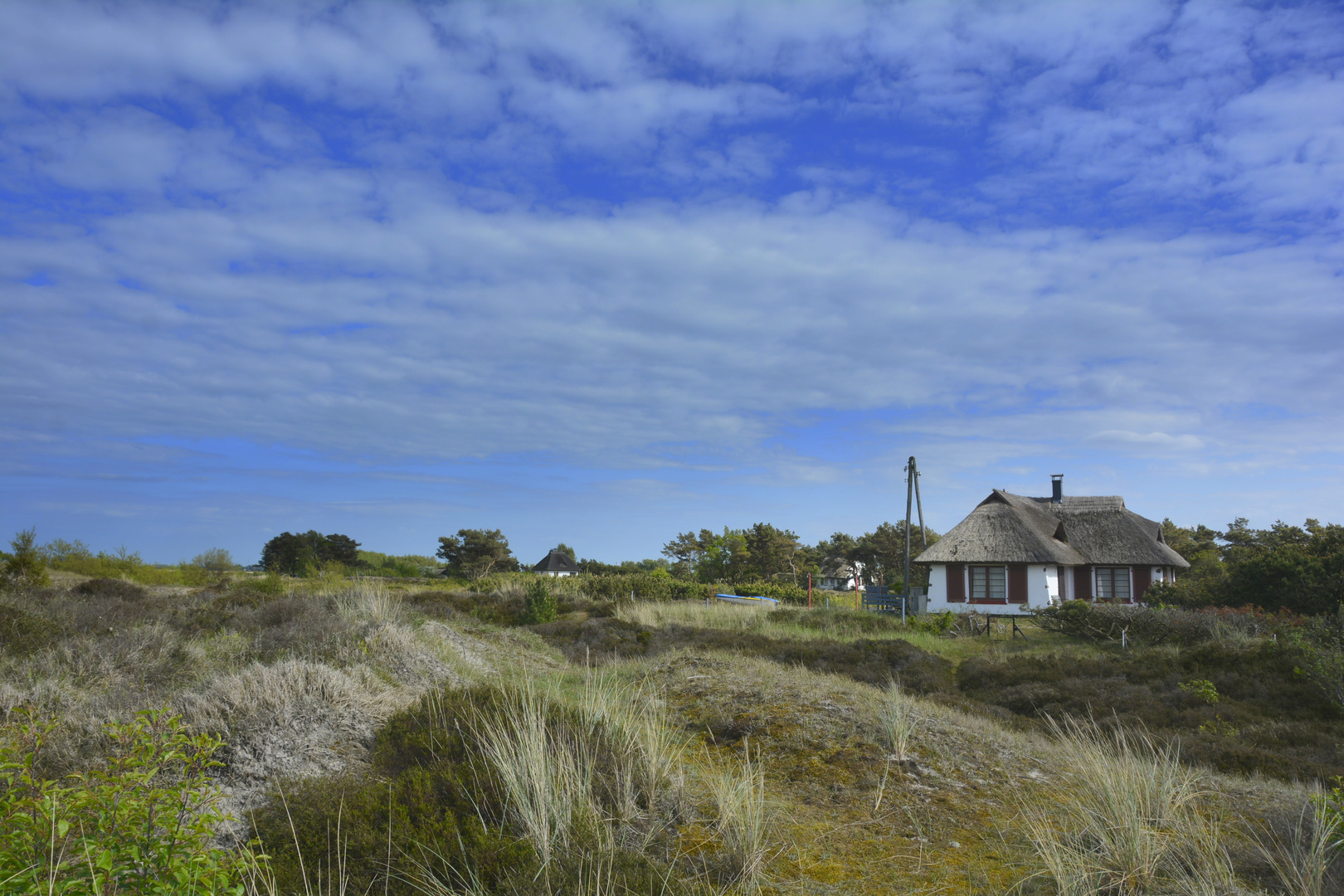 Heide -Land im Mai Foto & Bild | deutschland, europe, mecklenburg ...
