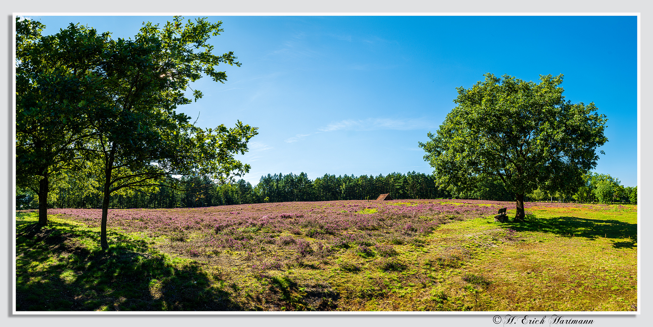 Heide Panorama Foto & Bild | landschaft, heide, fotos Bilder auf ...