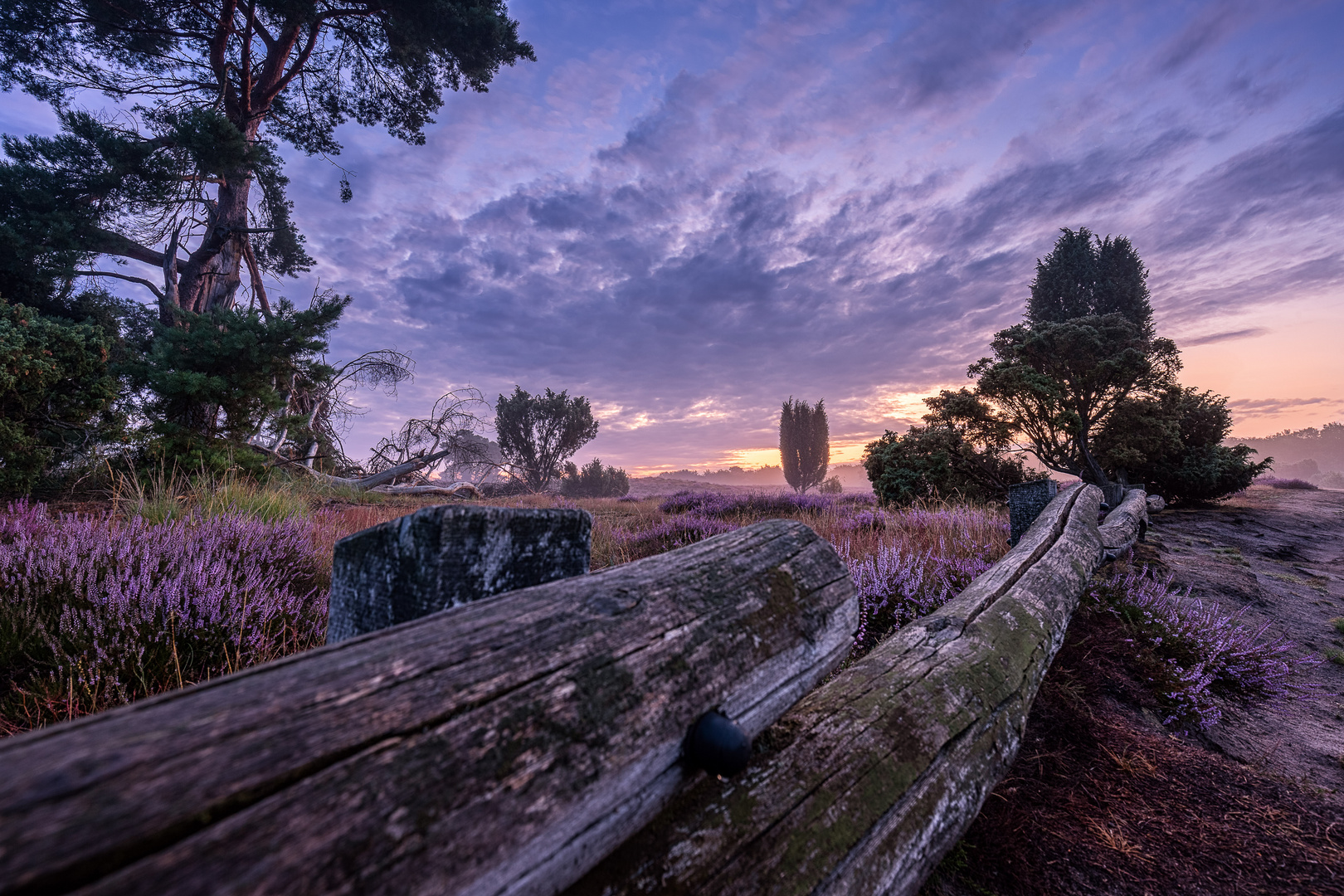Heidelandschaft Foto & Bild | sommer, sonnenaufgang, natur Bilder auf ...