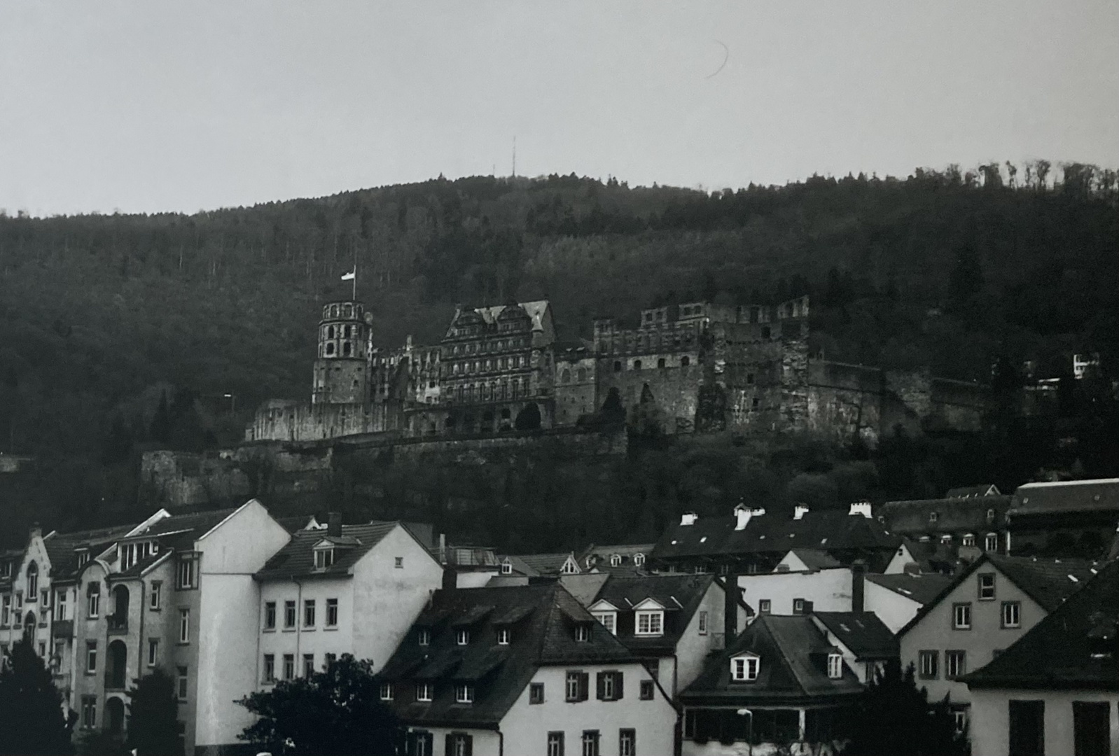 Heidelberger Schloss Foto & Bild | world Bilder auf fotocommunity