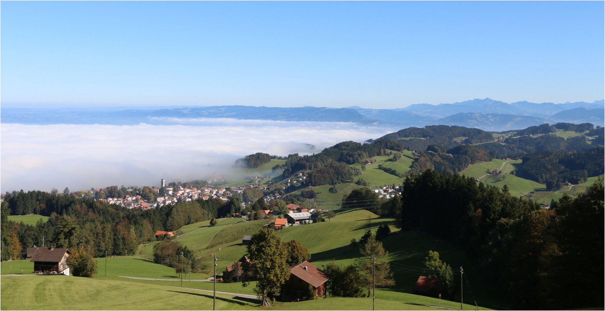 Heiden heiter .......... Foto & Bild | natur, herbst, schweiz Bilder ...