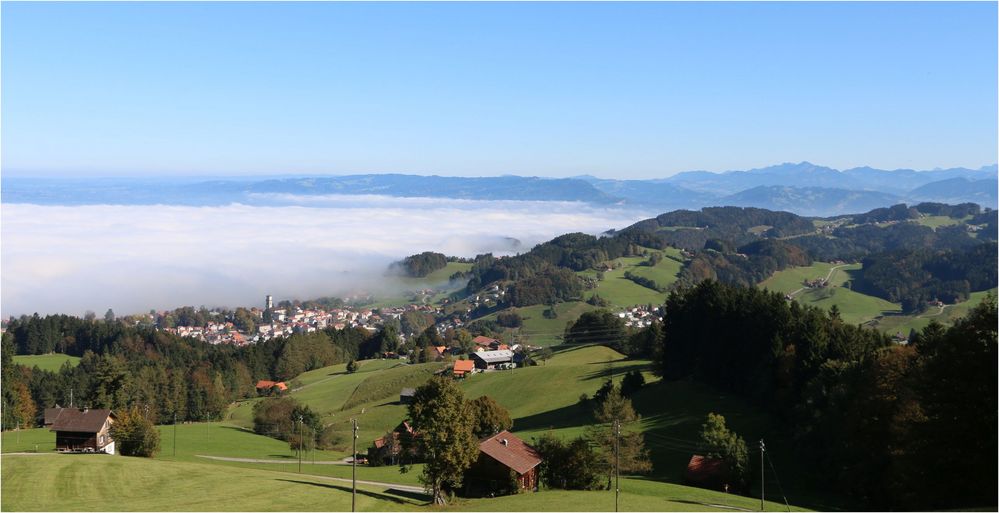 Heiden heiter .......... Foto & Bild | natur, herbst, schweiz Bilder ...