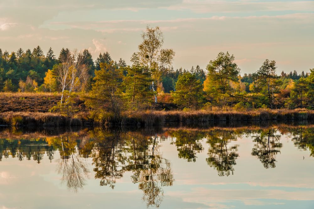 Heidesee Foto & Bild | landschaft, jahreszeiten, herbst Bilder auf fotocommunity