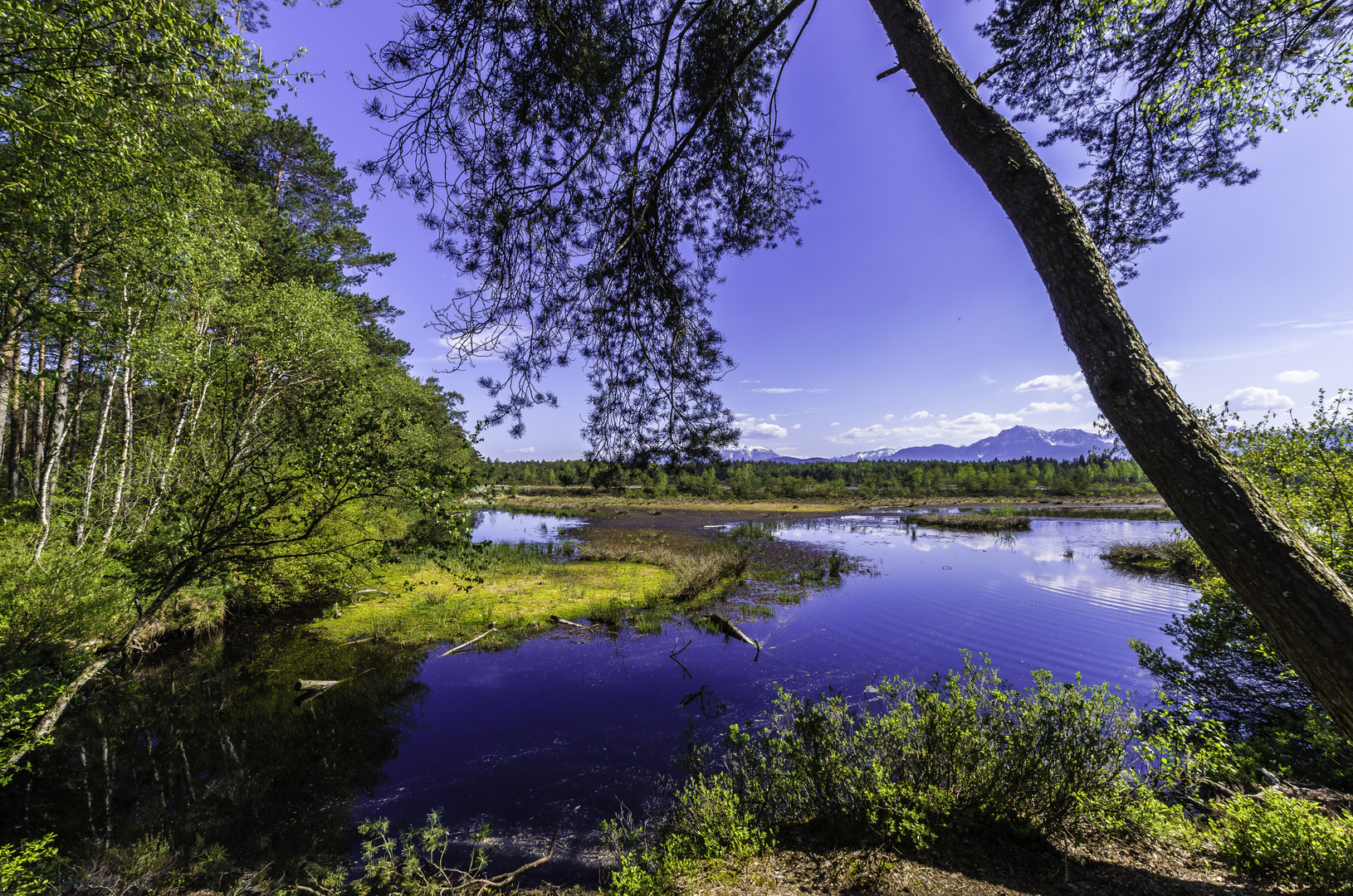 Heidesee Foto & Bild | landschaft, bach, fluss & see, see, teich ...