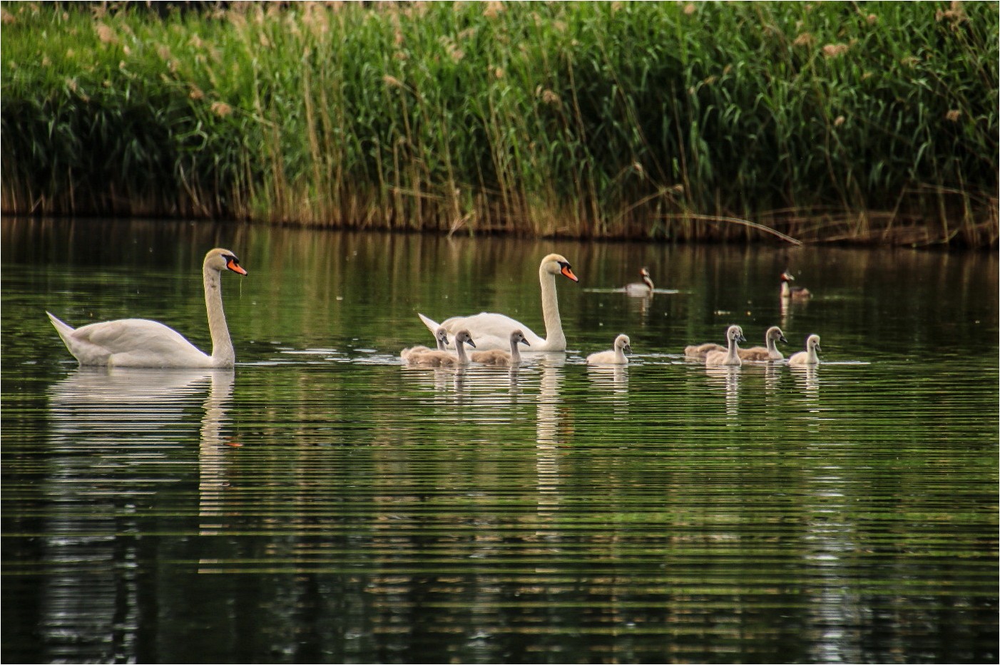 Heile Welt Foto & Bild | art, world, spezial Bilder auf fotocommunity