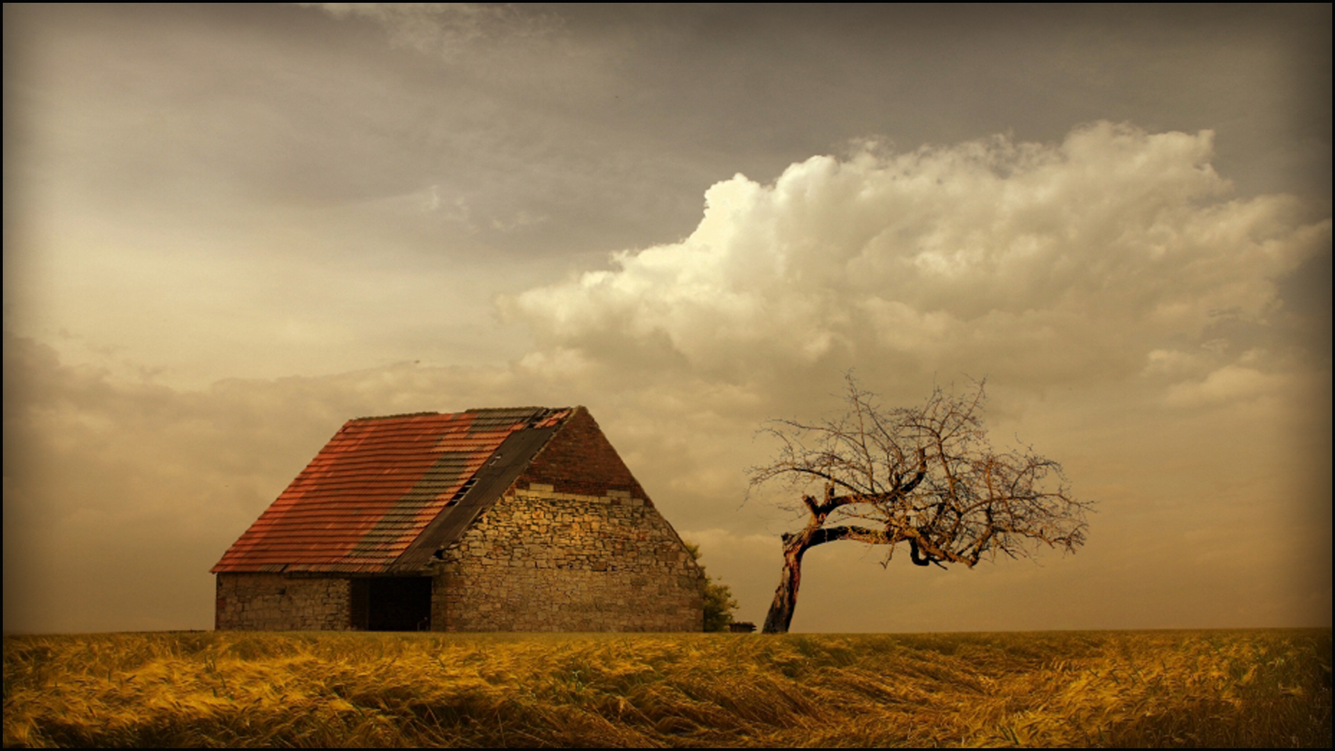 Heile Welt.... Foto & Bild | landschaft, fotokunst, Äcker, felder & wiesen Bilder auf fotocommunity