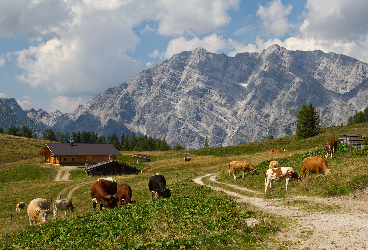 Heile Welt Foto & Bild | landschaften, natur, natur, landschaft Bilder ... Heile Welt Foto & Bild | landschaften, natur, natur, landschaft Bilder ...