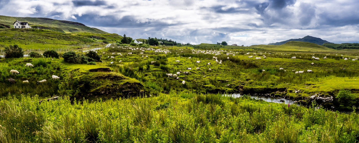 Heile Welt Foto & Bild | world, schottland, natur Bilder auf fotocommunity