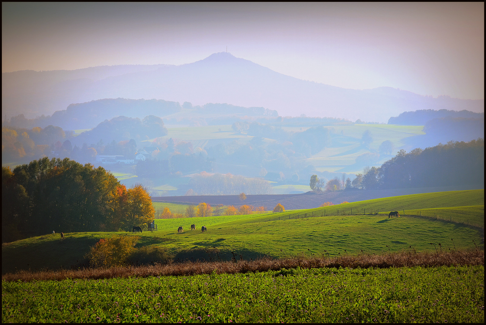 Heimat ... Foto & Bild | landschaften, outdoor, grün Bilder auf ...