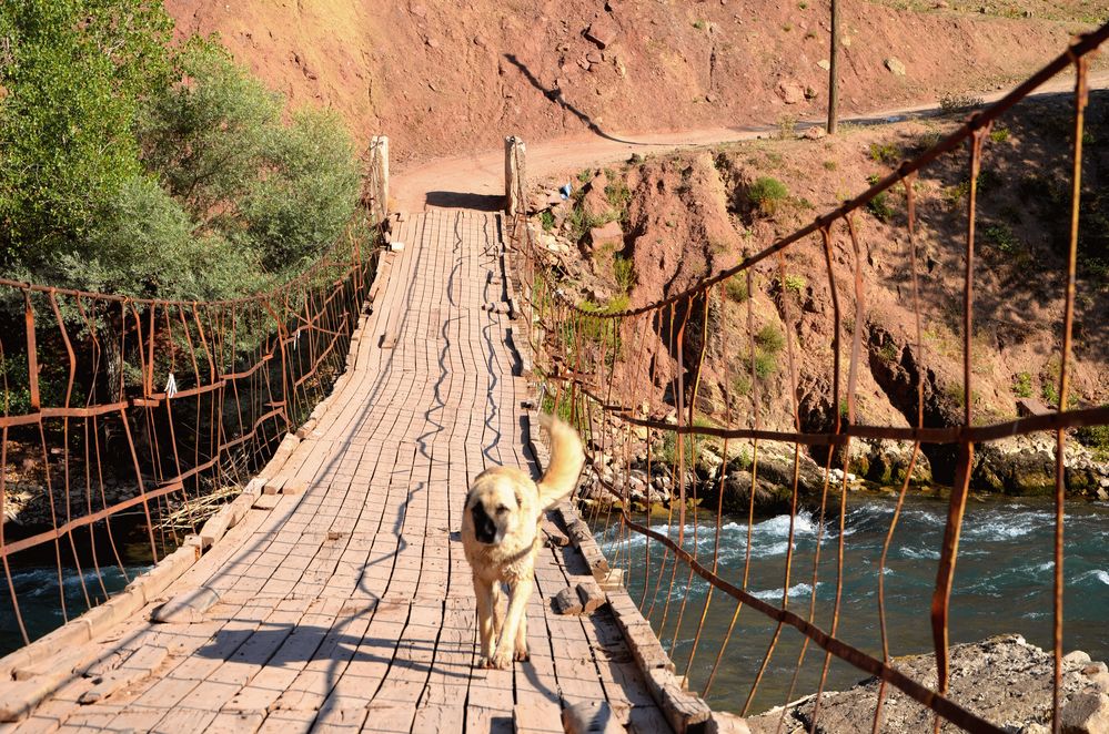 Heimat- Die Berge von Dersim Foto & Bild | europe, asian turkey, turkey ...