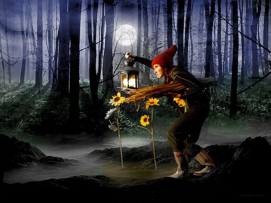 Benjamin Poe - Fotos & Bilder - Fotograf aus Frankfurt a.M ...