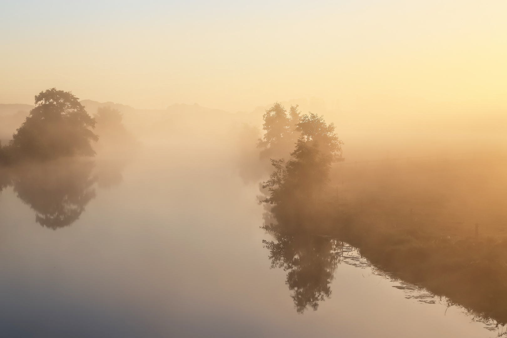 heiter - neblig Foto & Bild | spezial, bäume, sonnenaufgang Bilder auf ...
