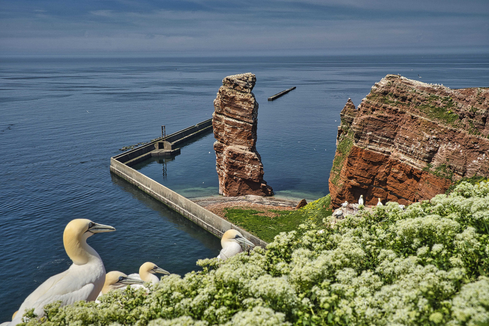 Helgoland Foto & Bild | landschaft, meer & strand, steilküsten Bilder ...