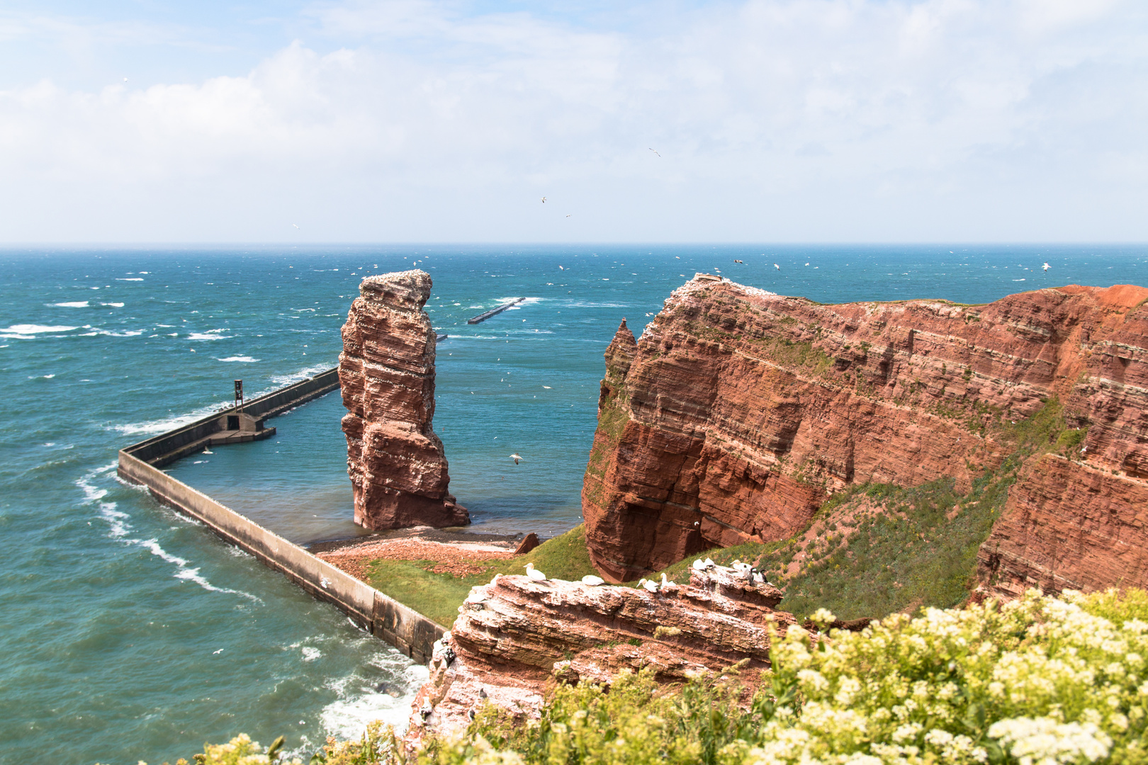 Helgoland Foto & Bild | nordsee, düne, helgoland Bilder auf fotocommunity