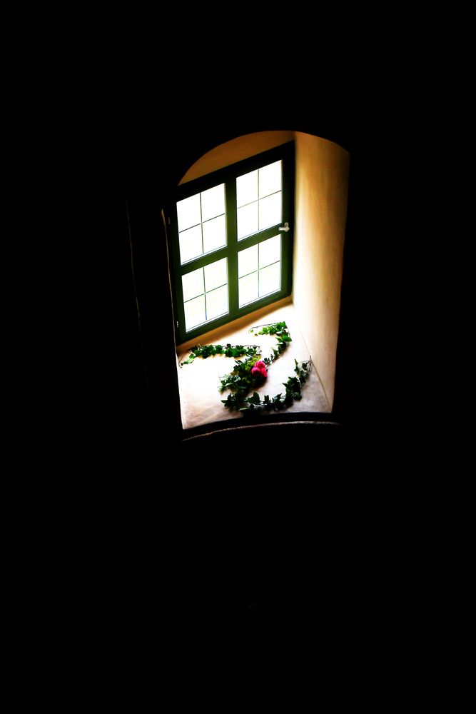 Hell und Dunkel Foto & Bild | fenster, licht, schatten Bilder auf ...