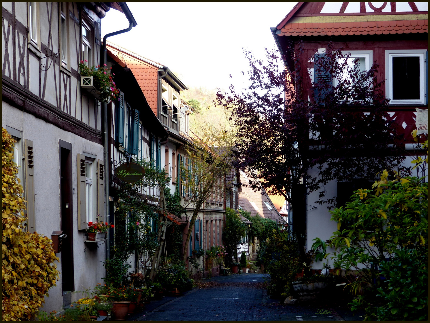 Heppenheim ... Foto & Bild | stadt, motive, wein herbst altstadt ...