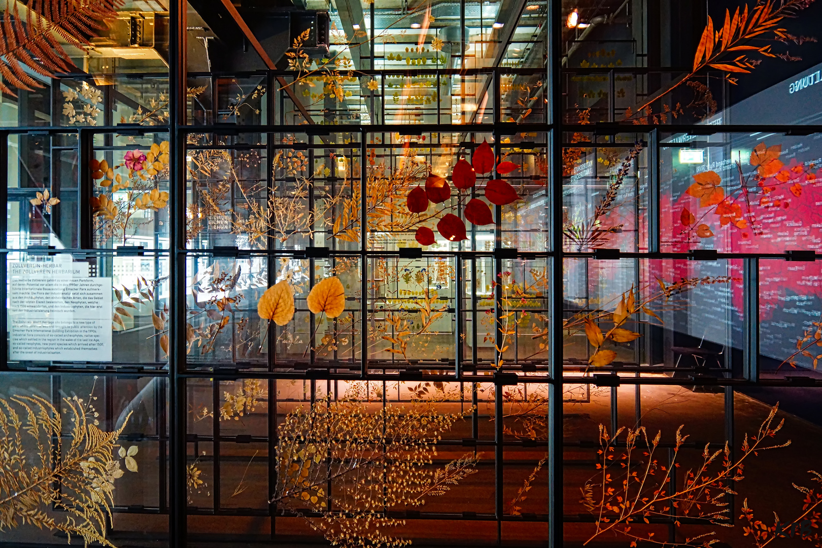 Herbarium Foto & Bild | world, spezial, architektur Bilder auf ...