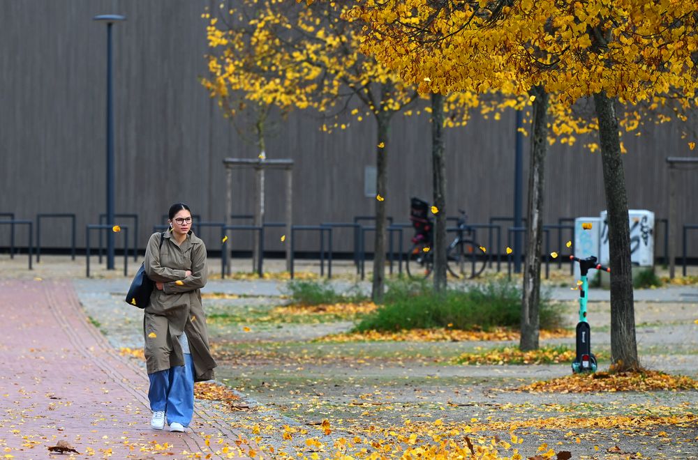 - Herbst - Foto & Bild | erwachsene menschen, reportage dokumentation, streetfotografie mit ...