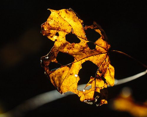Christian Gottwald - Fotos & Bilder - Fotograf aus Wien, Österreich ...