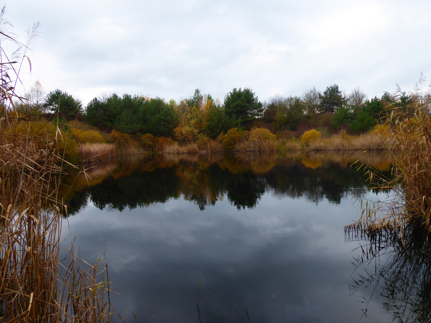 Herbst Foto & Bild | landschaft, jahreszeiten, herbst Bilder auf fotocommunity