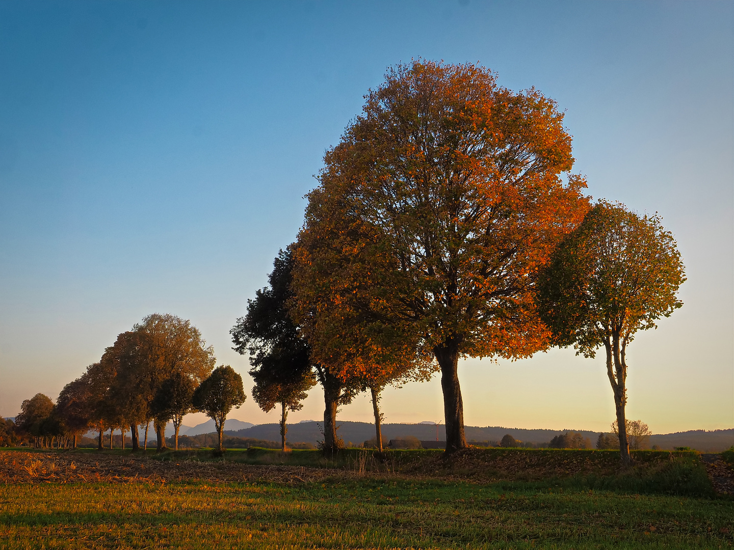 Herbst Foto & Bild | landschaft, jahreszeiten, herbst Bilder auf fotocommunity