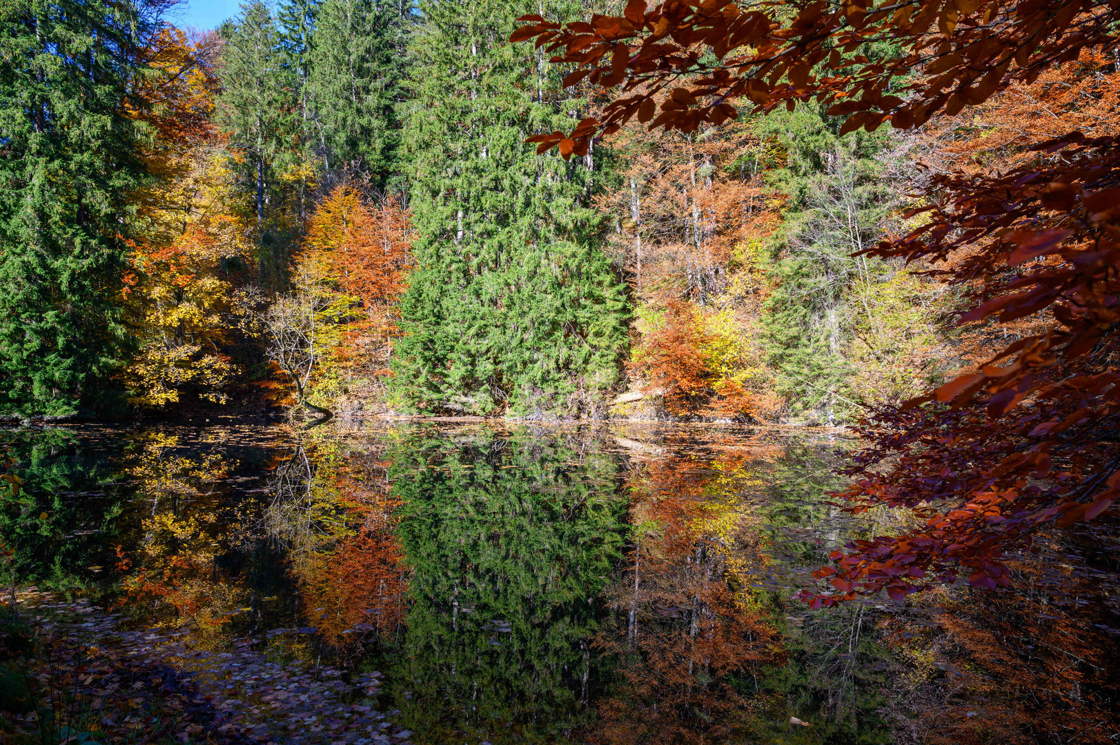 Herbst Foto & Bild | landschaft, jahreszeiten, herbst Bilder auf fotocommunity