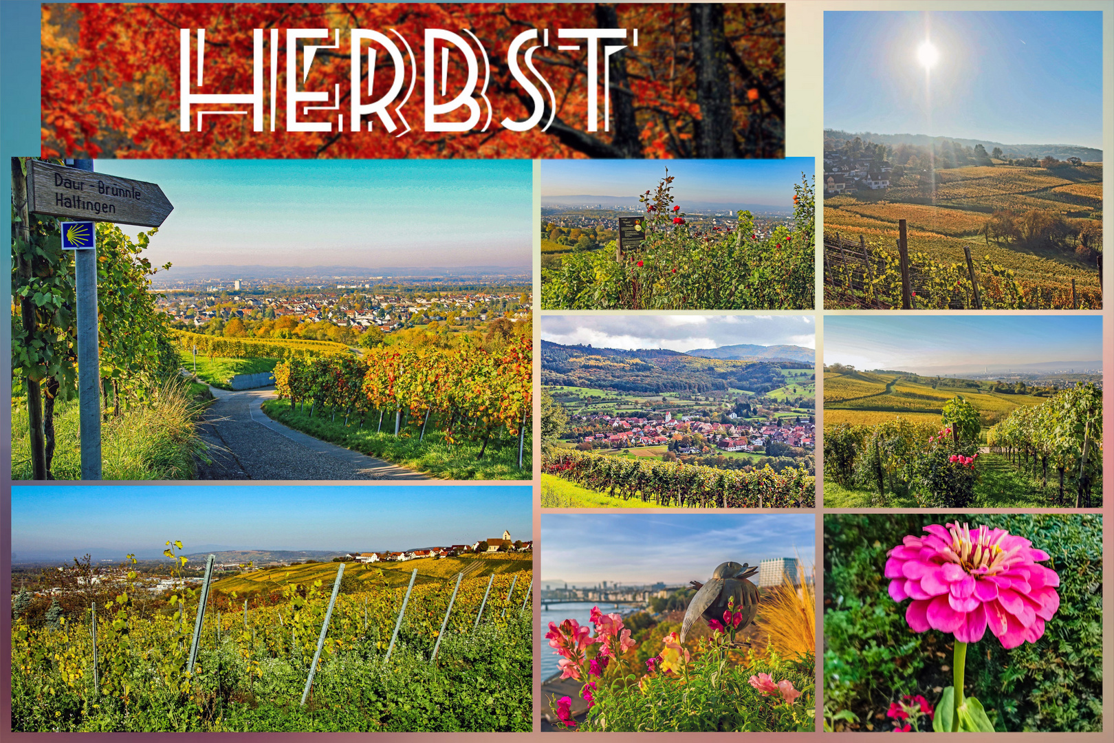 HERBST Foto & Bild | landschaft, jahreszeiten, herbst Bilder auf fotocommunity