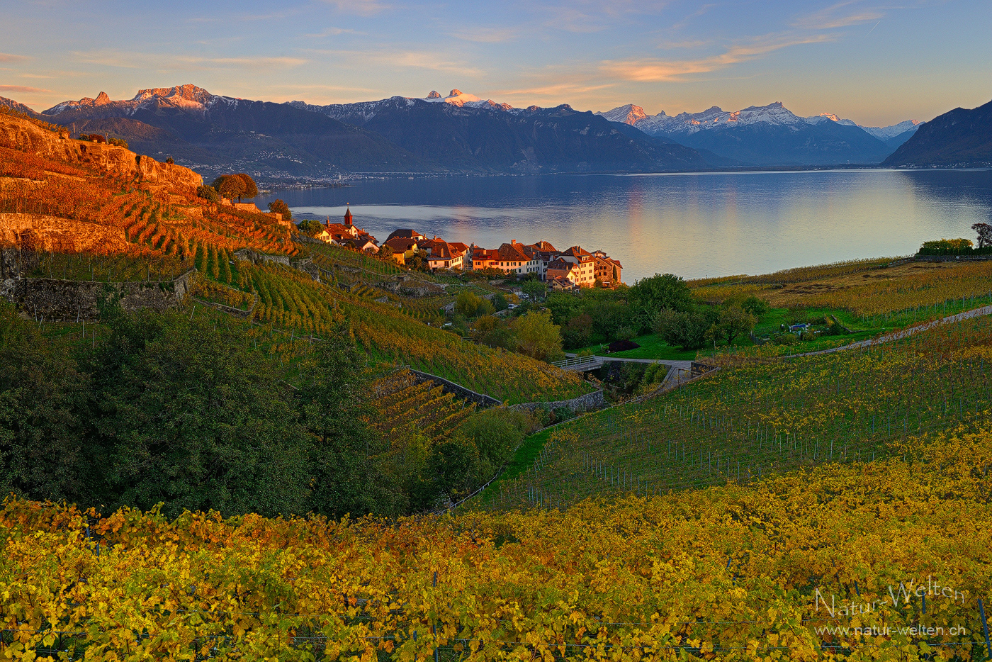 Herbst Adieu! Foto & Bild | world, sonnenuntergang, natur Bilder auf ...